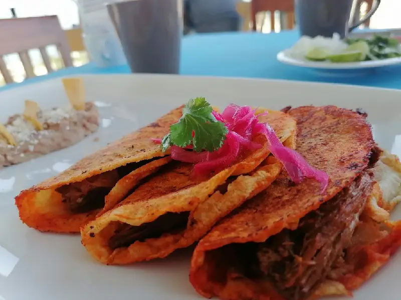 Azul Celeste: sabor del mar con vista encantadora en Puerto Vallarta ...